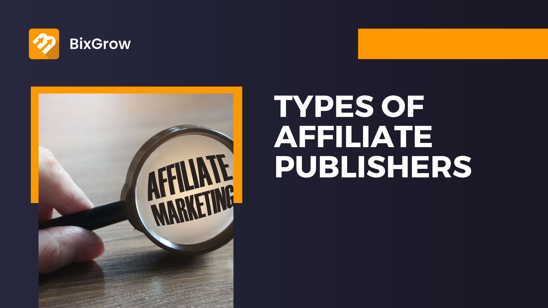 07 Types of Affiliate Publisher – BixGrow – Affiliate Marketing ...