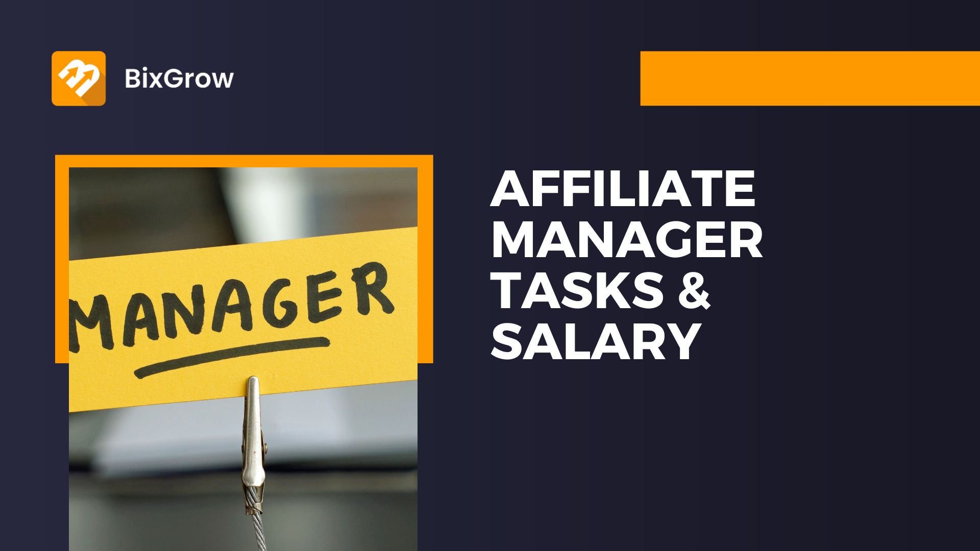 Affiliate Manager Insights: Roles, Skills, & Career in Affiliate ...